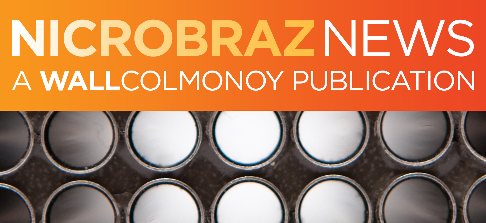 Nicrobraz News